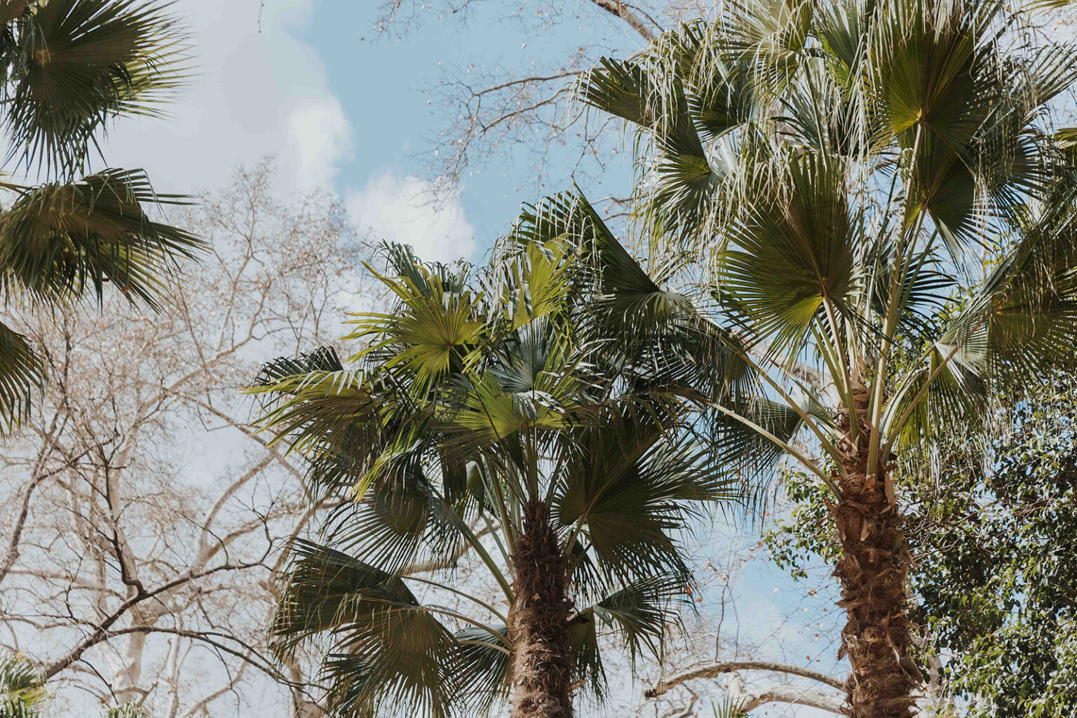 Planning Your Destination Elopement Wedding: All You Need To Know ...